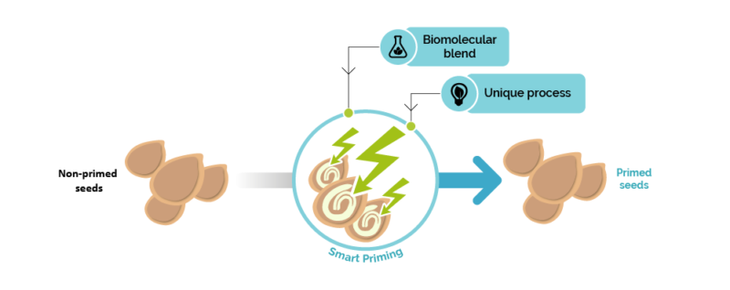 Seed In Tech, Boost your seeds
