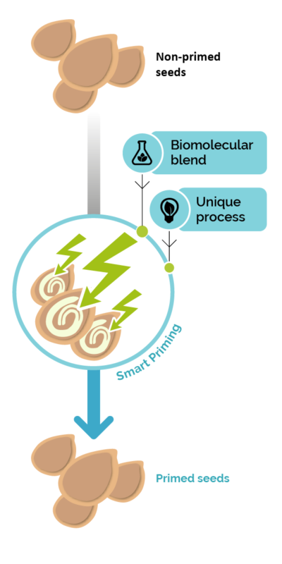 Seed In Tech, Boost your seeds